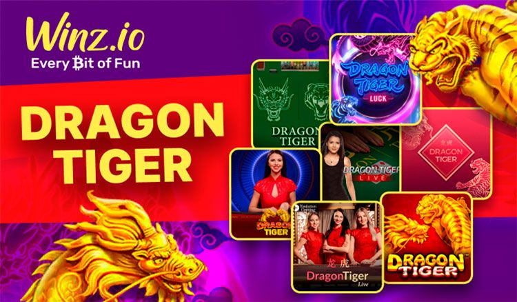 Dragon Tiger Gambling Strategy | Winz.io Blog